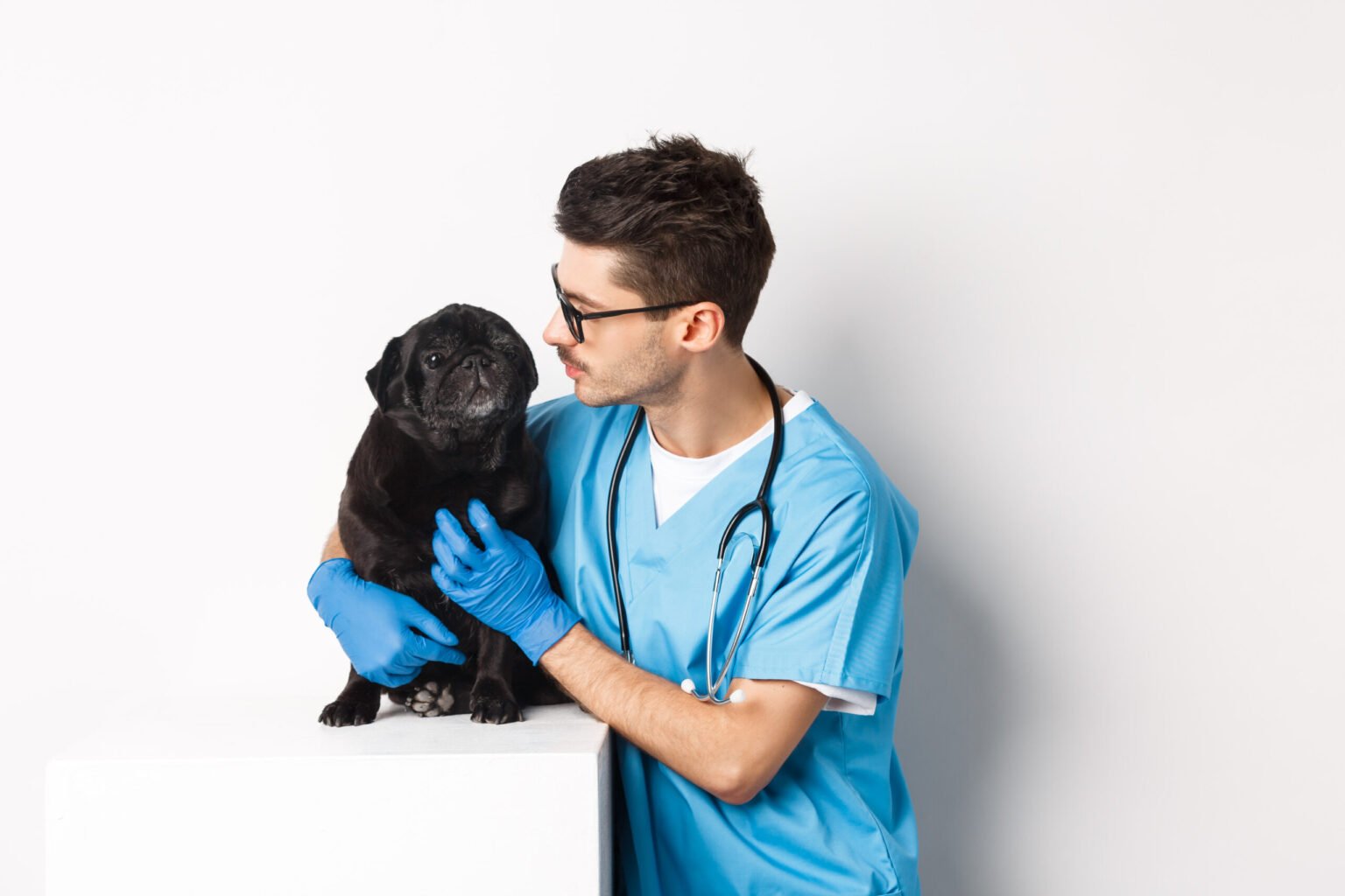 Veterinary Admissions – Helios Education